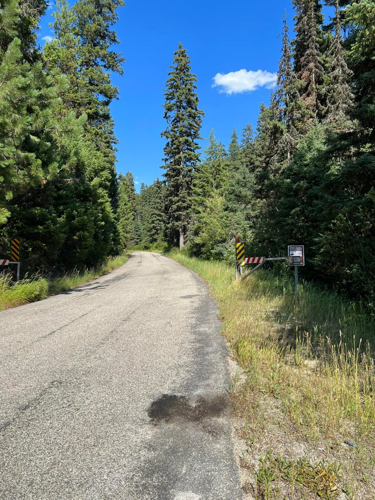 RMSC Trip Aug 27-Sept 3rd ’22 Skalkaho Pass, MT/ID – Rocky Mountain ...