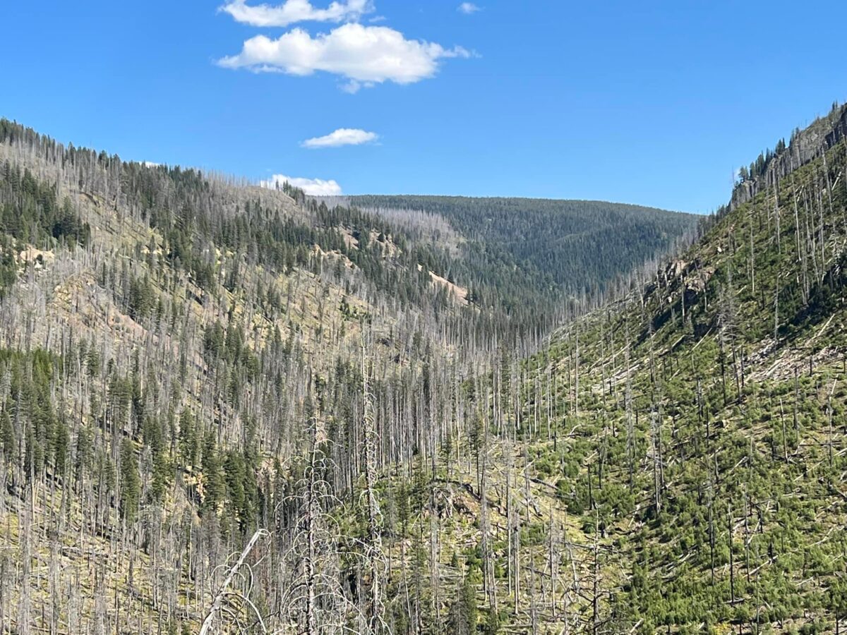 RMSC Trip Aug 27-Sept 3rd ’22 Skalkaho Pass, MT/ID – Rocky Mountain ...